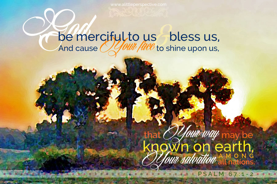 Blessed For A Purpose Magnolia Baptist Church